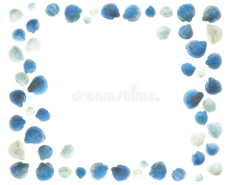 White Shells Close Up on White Stock Photo - Image of holiday, close ...
