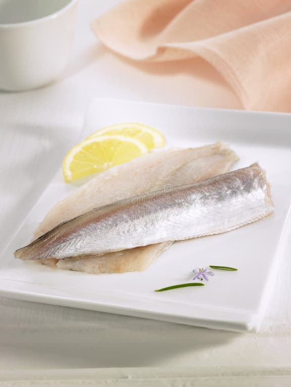 Blue whiting fillets stock photo. Image of selective - 23709604
