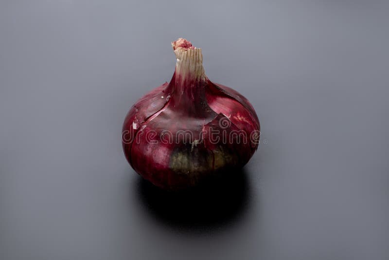 Blue Whole Onion on a Black Background. Vegetable Minimalist Design ...