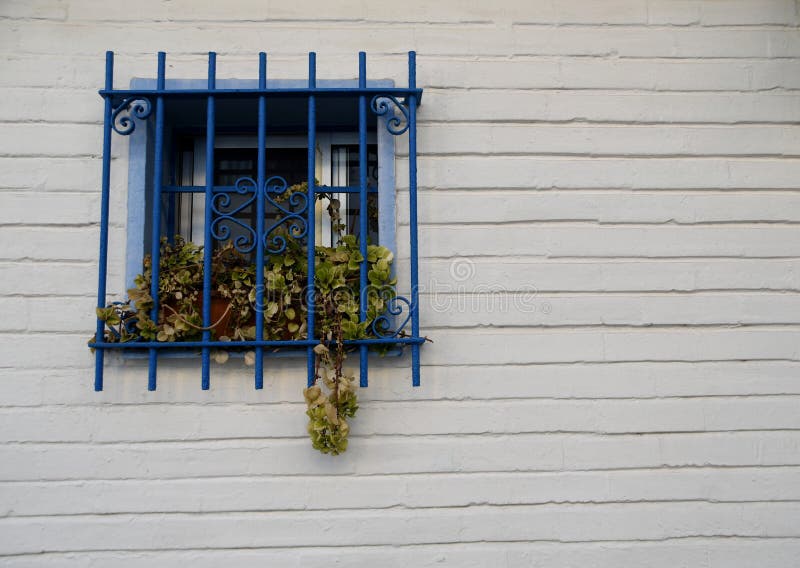 Blue Window Bars on a White Wall Adorned with Flower Pots Stock Image ...
