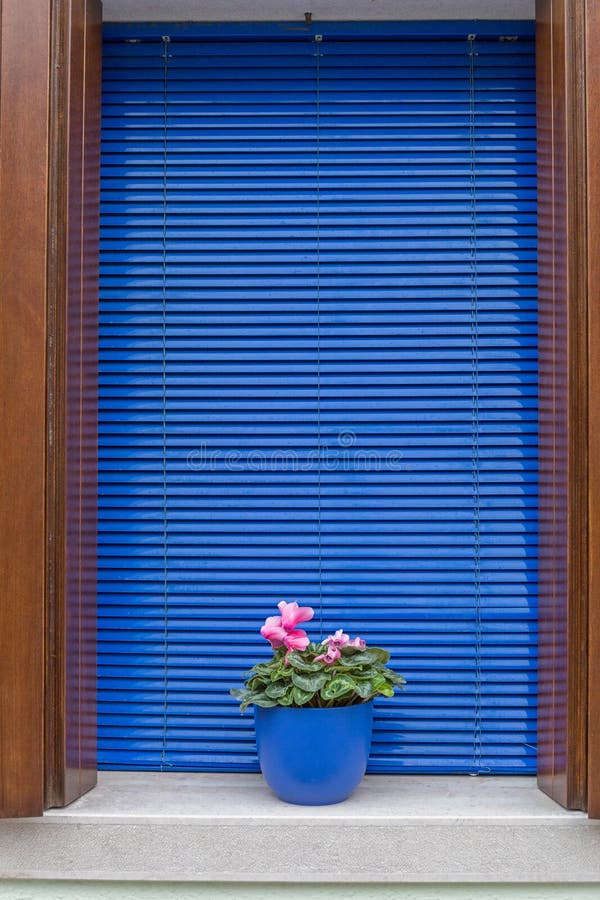 Blue Window Flower stock photo. Image of flower, island - 171431082