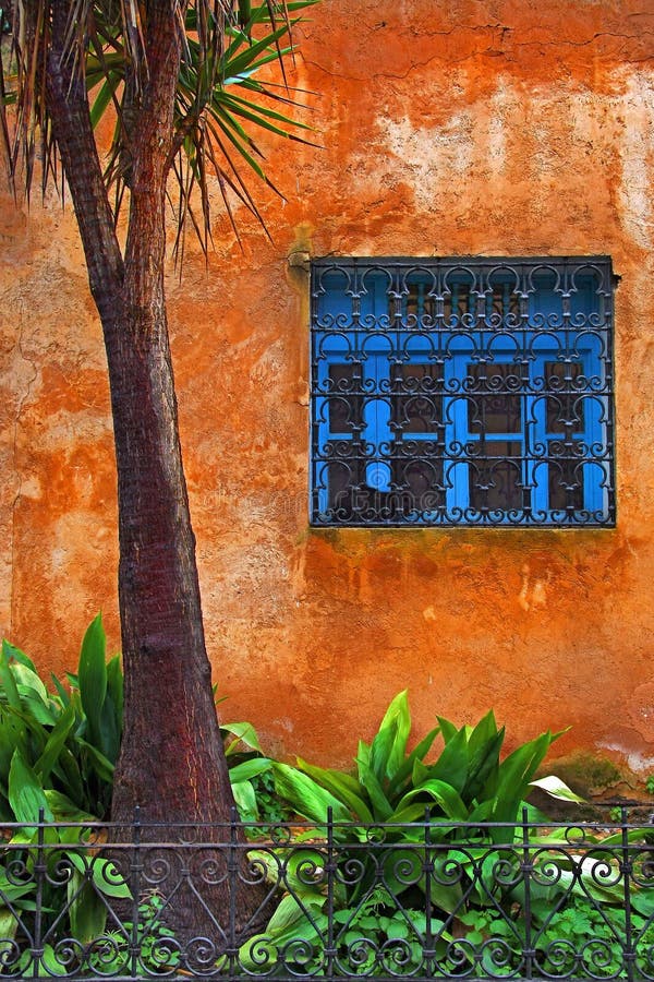 Blue window and palm tree stock photo. Image of town - 29824774