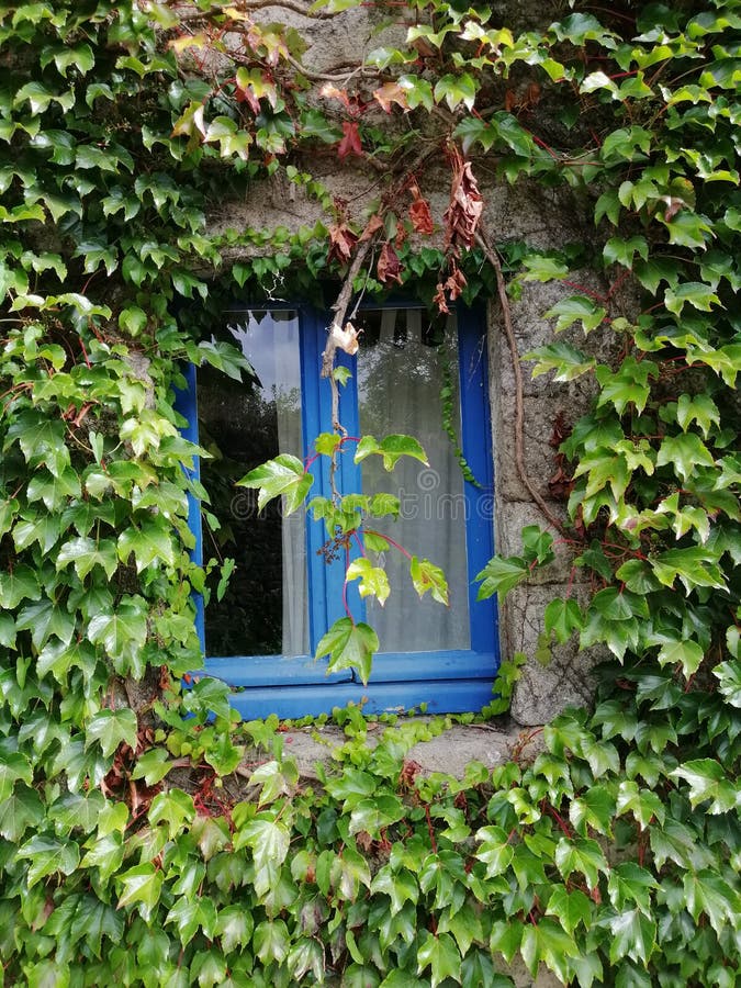 Window Surrounded by Nature Stock Image - Image of sculpture, building ...