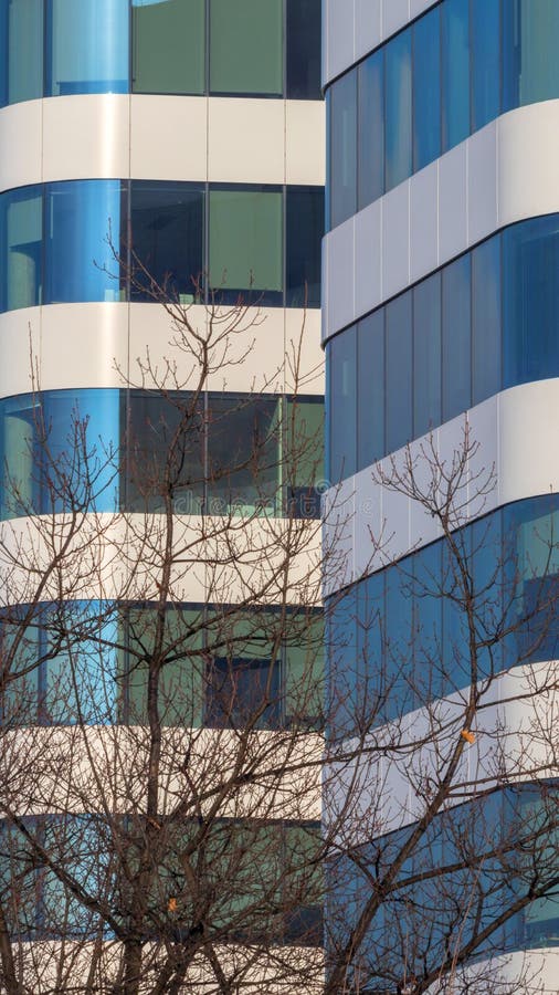 Office Building Behind the Trees. Stock Image - Image of recreation ...