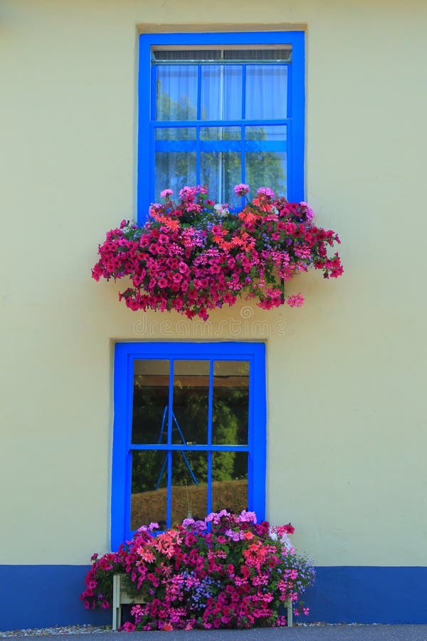 Blue Windows with Summer Flowers Stock Image - Image of colorful ...