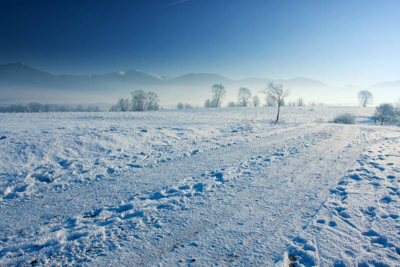 Blue winter stock photo. Image of fresh, snow, country - 7665816