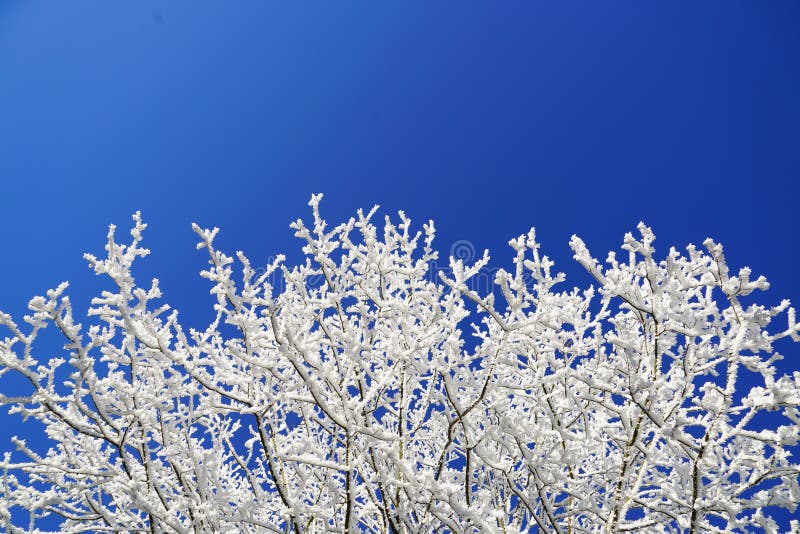 Blue, Winter, Frost, Sky Picture. Image: 101704286