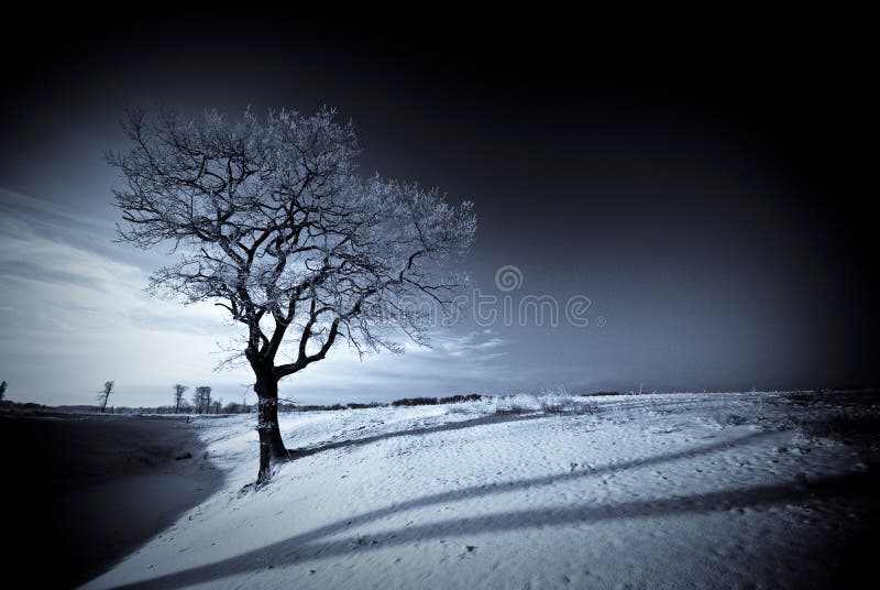 Blue winter night stock photo. Image of landscape, outdoor - 17585352