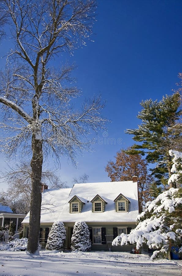 Blue Winter Sky after Blizzard Stock Photo - Image of winter, vertical ...