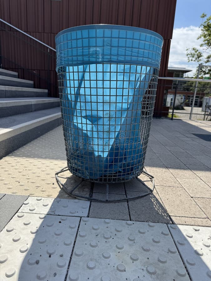 A Blue Wire Trash Bin Along the Pathway Boosts Both Aesthetics and ...