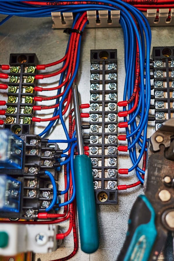 Blue Wires Connected To the Contact Strip and Relays Stock Photo ...