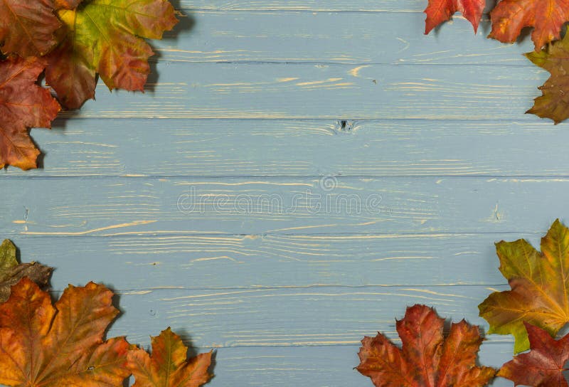 Blue Wood Table with Autumn Leaves Stock Image - Image of leaves, brown ...