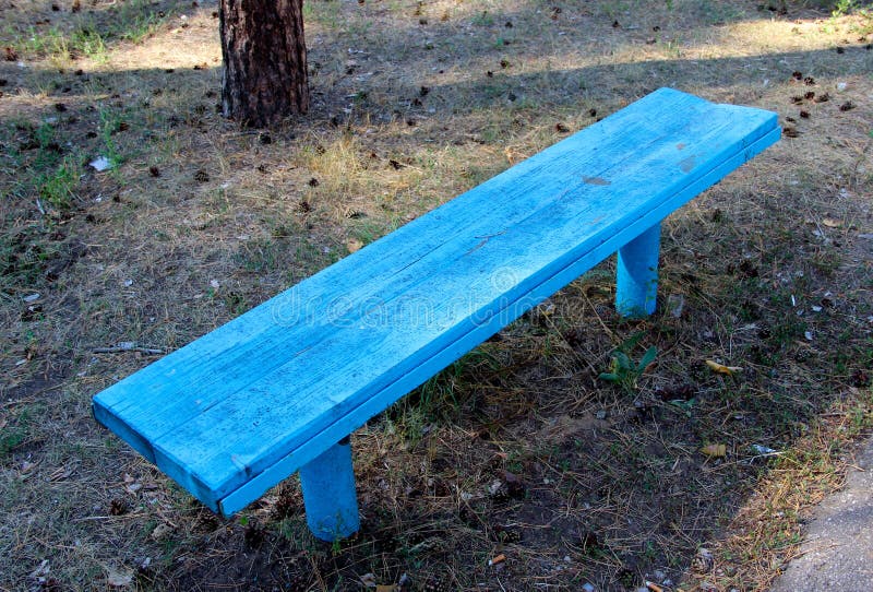 A Blue Wooden Bench in a Park Stock Photo - Image of park, grass: 79645636