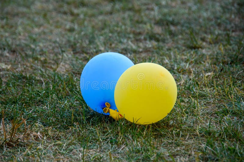 Blue and Yellow Balloons on the Grass Stock Image - Image of outdoor ...