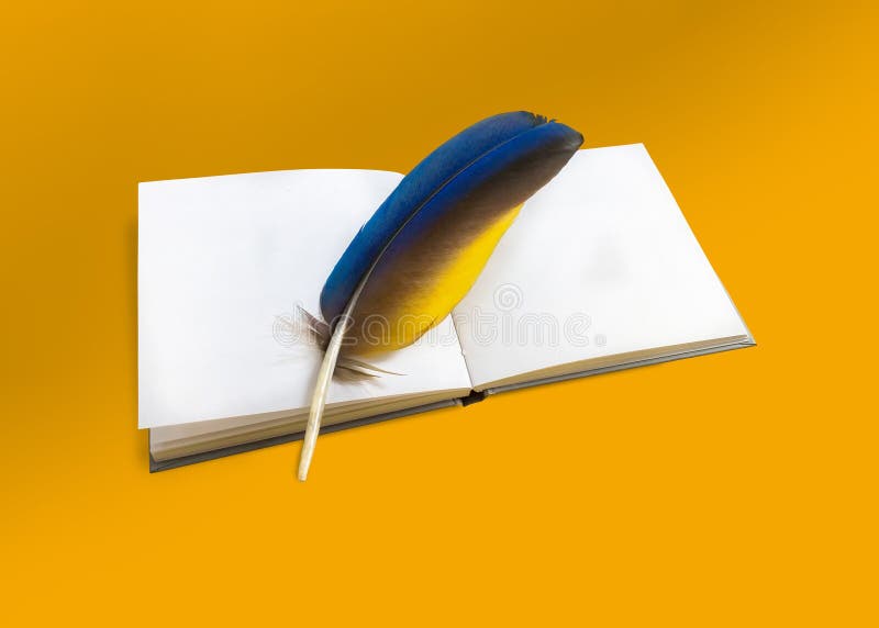 Blue and Yellow Feather on Open Notebook on Yellow Background Stock ...