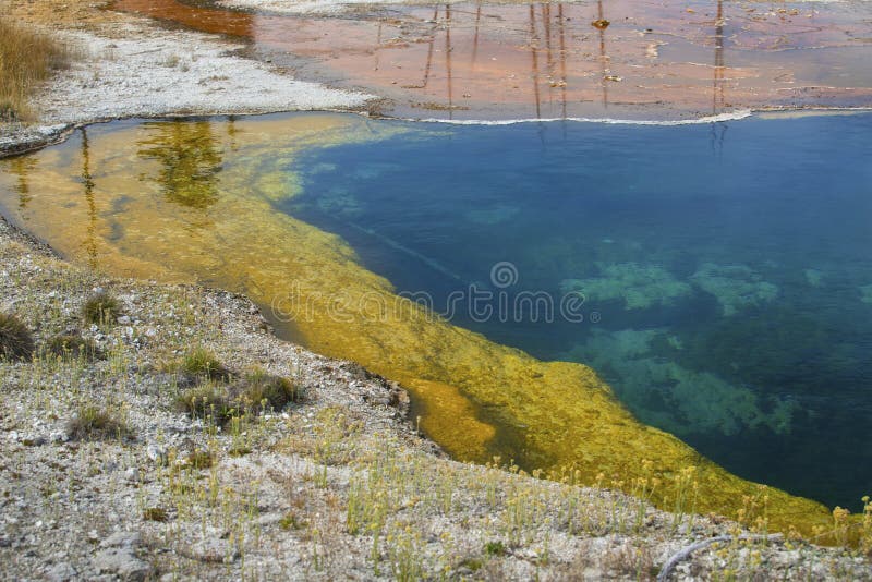 Blue, Yellow and Orange Water of Hot Springs, Yellowstone, Wyoming ... Blue, Yellow and Orange Water of Hot Springs, Yellowstone, Wyoming ...