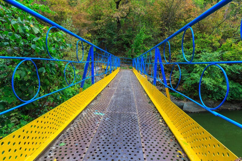 Blue and Yellow Painted Bridge Stock Photo - Image of park, plant: 59687332