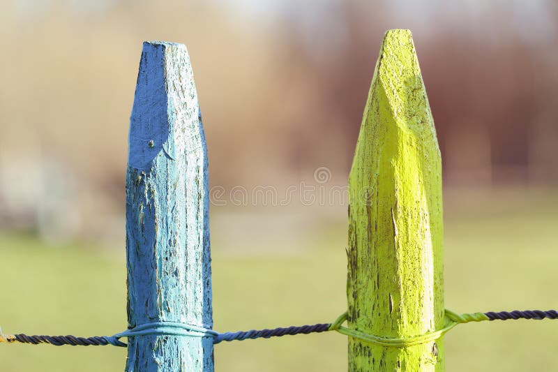 Blue and yellow post stock photo. Image of blue, garden - 70063778