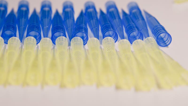 Blue and Yellow Universal Laboratory Pipet Tips. Laboratory and Science ...