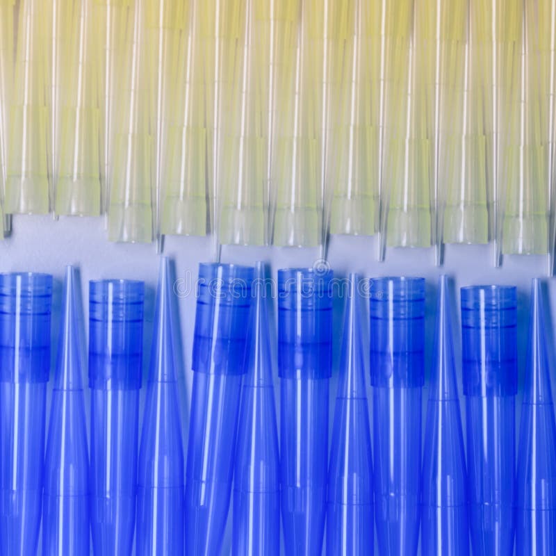 Blue and Yellow Universal Laboratory Pipet Tips. Laboratory and Science ...