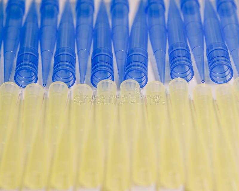 Blue and Yellow Universal Laboratory Pipet Tips. Laboratory and Science ...