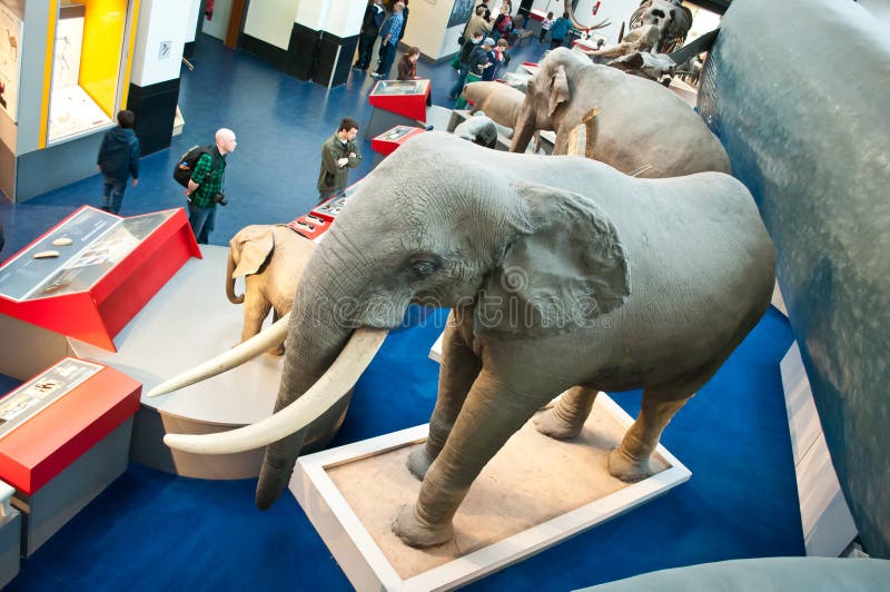 Blue Zone of Natural History Museum Editorial Stock Image - Image of ...