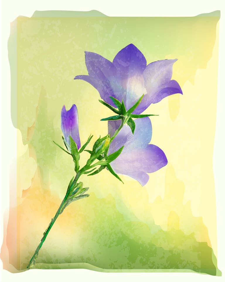 Bluebell Flowers Stock Illustrations – 8,523 Bluebell Flowers Stock ...