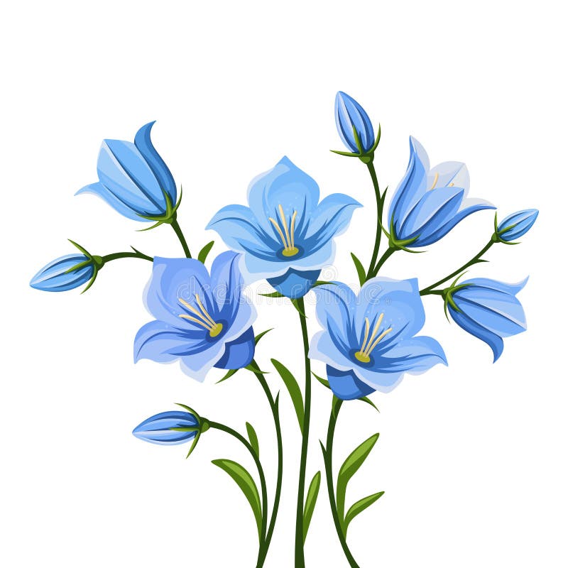 Background Banner with Bluebell Flowers. Vector Illustration. Stock ...