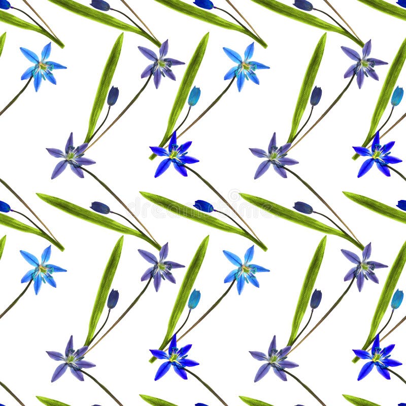 Bluebell, Scilla, Primroses. Seamless Pattern Texture of Flowers Stock ...