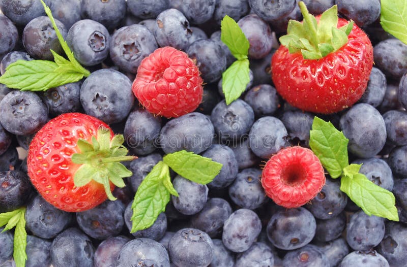 Summer Berries stock image. Image of season, seasonal - 3511041