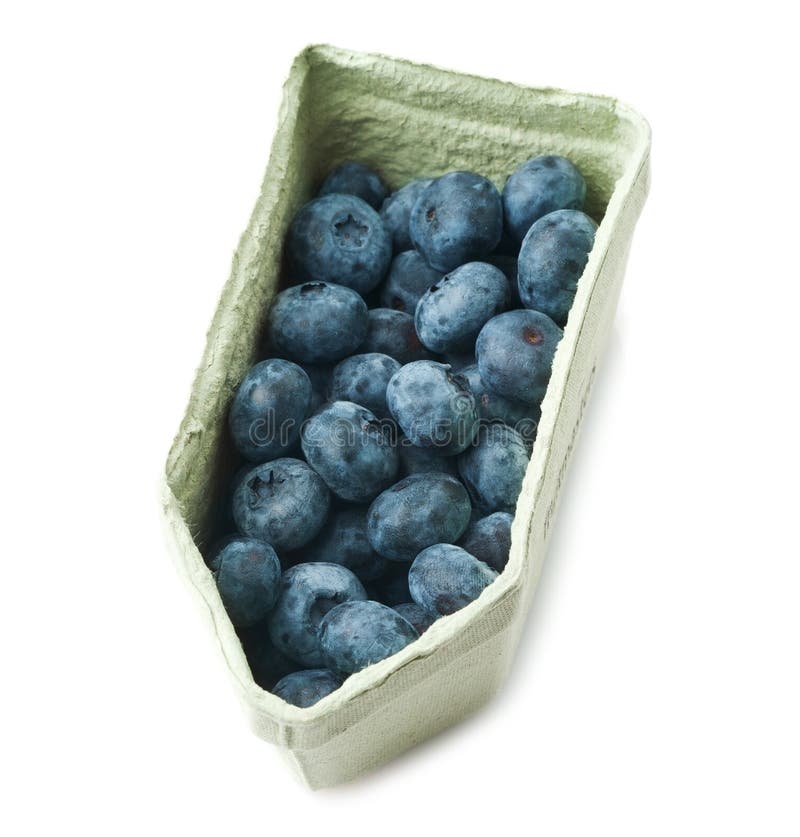 Blueberries stock image. Image of blueberries, fruit - 22489571