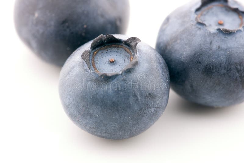 Blueberries stock photo. Image of healthy, vegetarian - 1701226