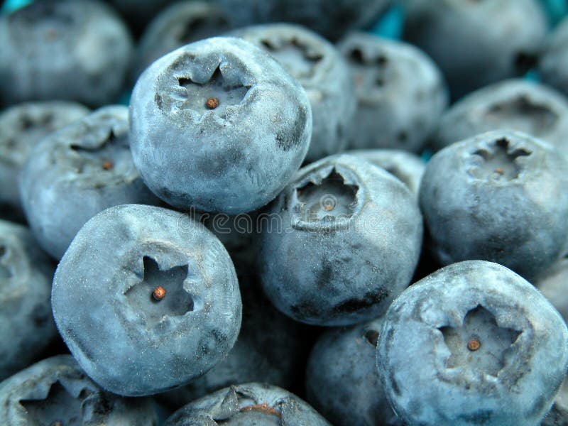 Blueberries stock image. Image of background, delicious - 178759