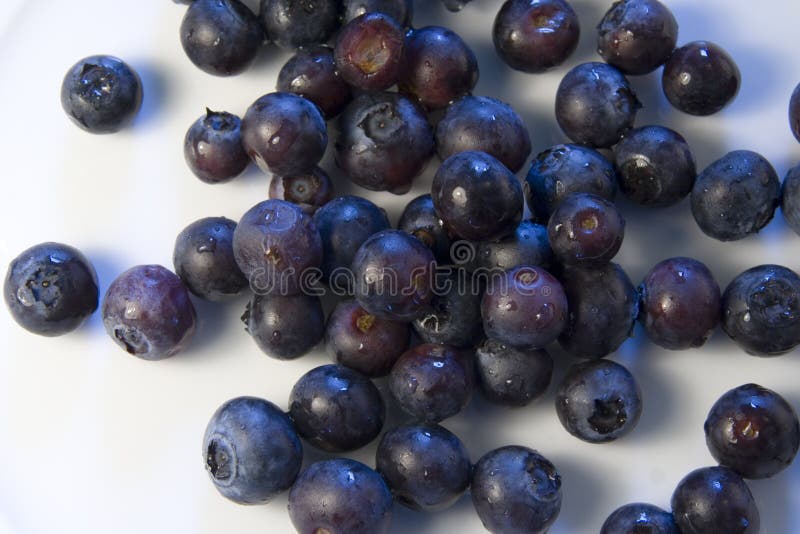 Blueberries II stock image. Image of fruit, fruity, fresh - 12469