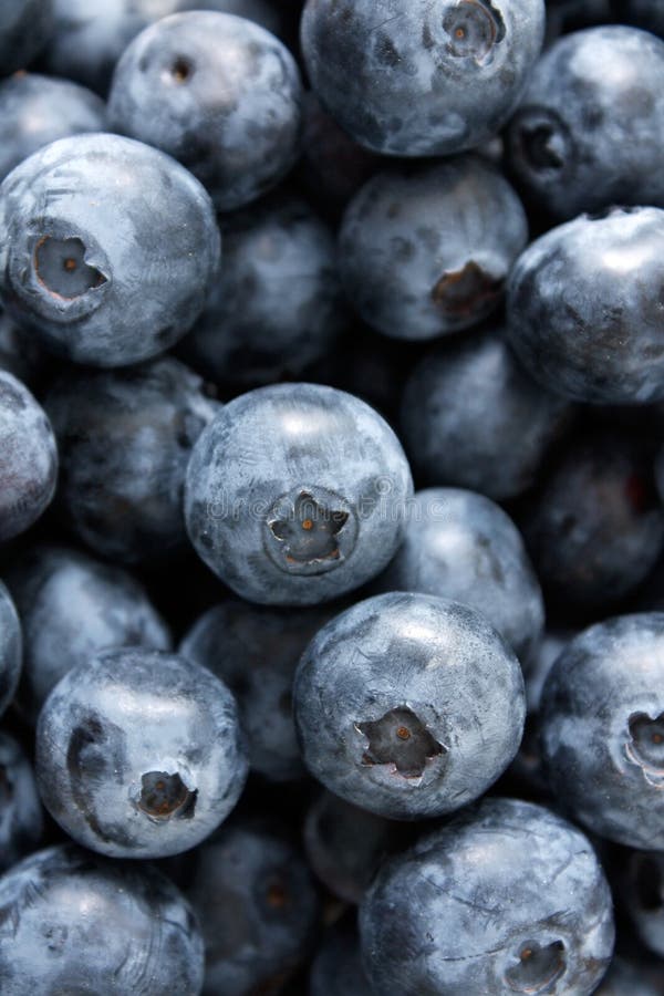 Blueberries stock image. Image of fresh, detail, healthy - 20001645
