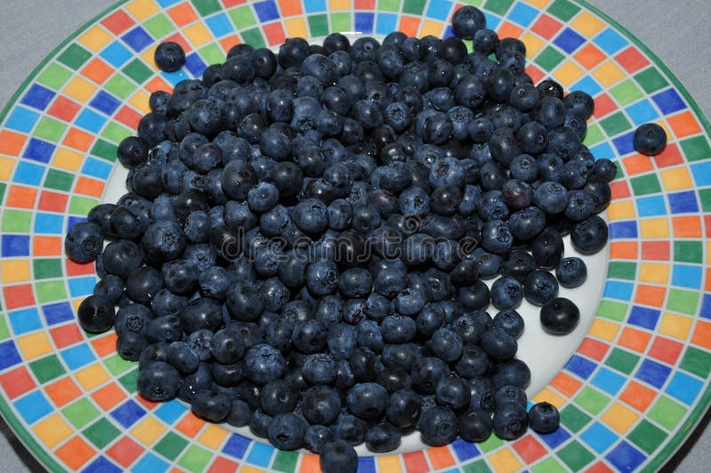 Blueberries stock image. Image of kitchen, products, table - 26082035