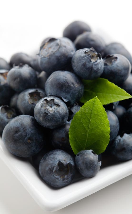 Blueberries stock photo. Image of healthy, delicious, berries - 5649296