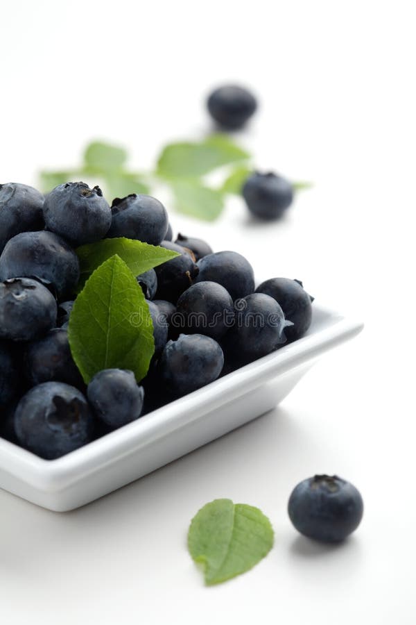 Blueberries stock photo. Image of healthy, delicious, berries - 5649296