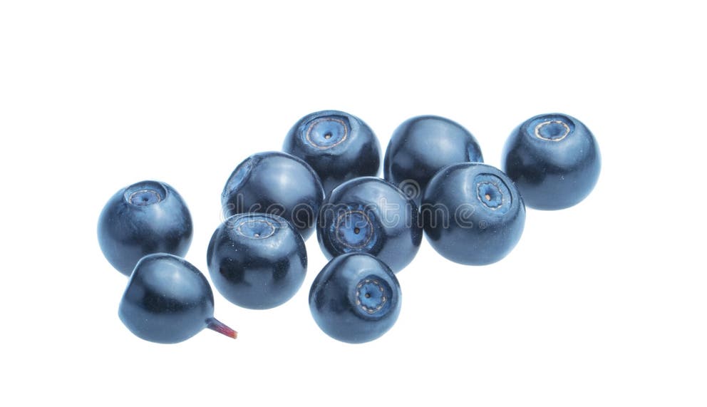 Blueberries Bilberries Isolated on White without Shadow Clipping Path ...