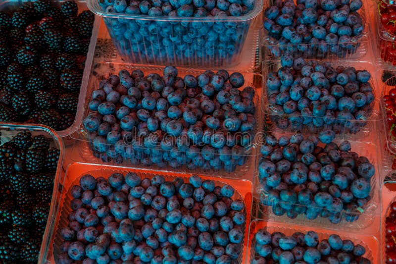 Blueberries Blueberries and Blackberries Packed in Containers at the ...