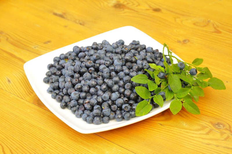 Blueberries stock photo. Image of berry, table, freshness - 48185272