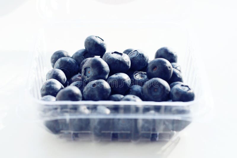 Blueberries in a box stock image. Image of closeup, fresh - 13291129