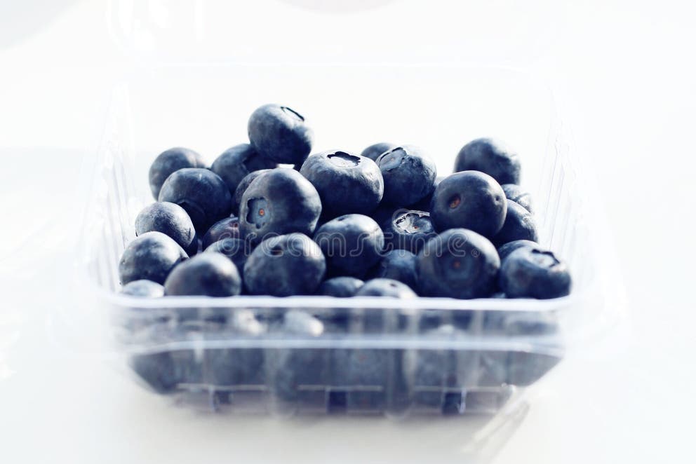 Blueberries in a box stock image. Image of closeup, fresh - 13291129