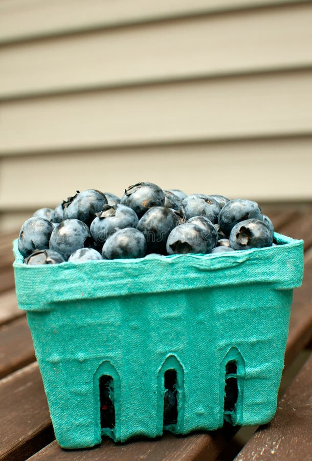 Blueberries Box Container Side View Stock Photo - Image of harvest ...