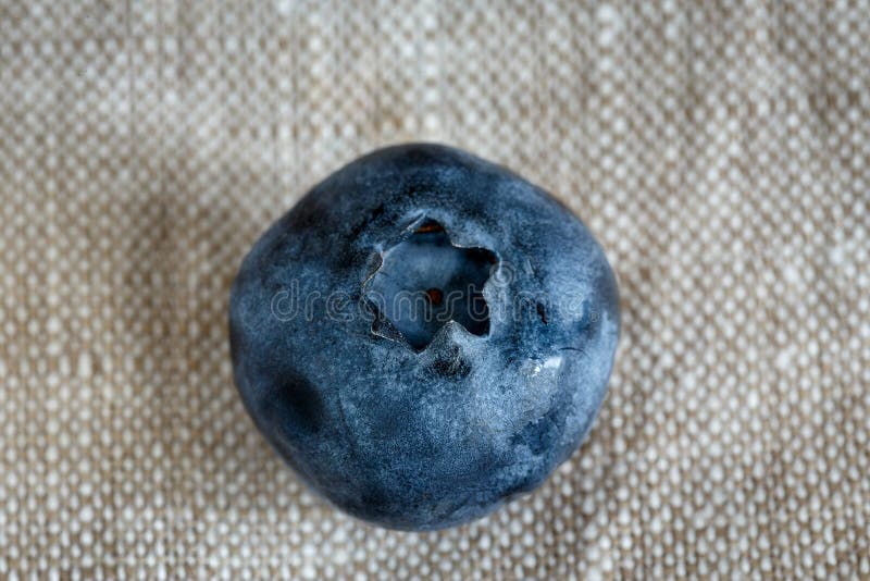 Blueberries close up stock image. Image of natural, organic - 147523219