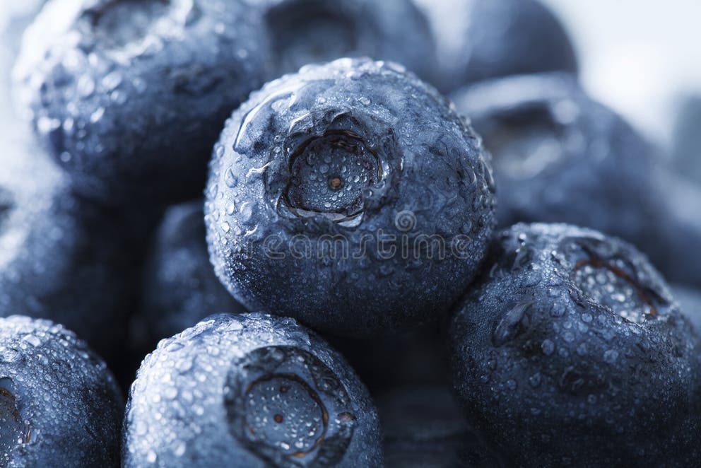 Blueberries stock photo. Image of fruit, food, drops - 35642214