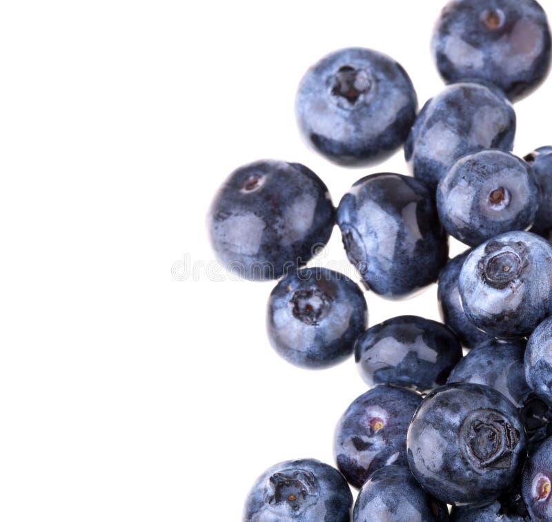 Blueberries stock photo. Image of food, backdrop, closeup - 166892