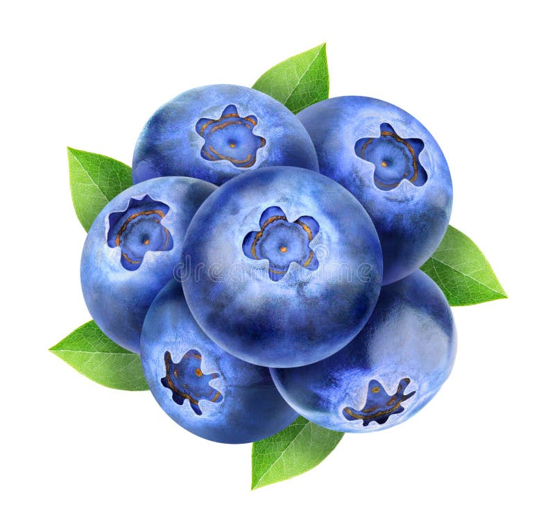 Blueberries composition stock image. Image of blue, juicy - 55305351