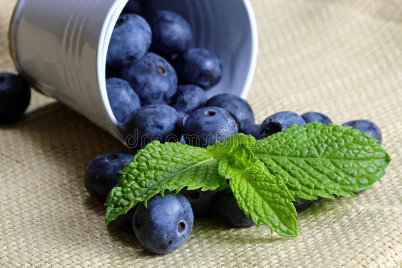 Blueberries in a Container on Table Stock Image - Image of blue, food ...