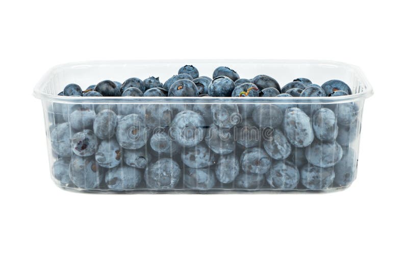 Blueberries in container stock photo. Image of white - 70746666